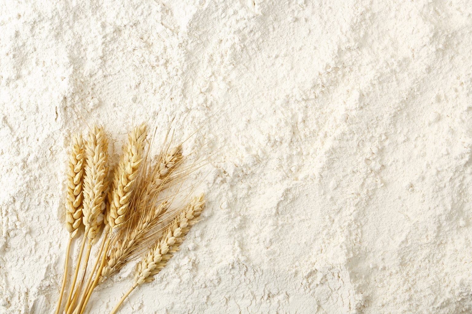 Quelle farine pour quel usage : tout savoir sur les différentes farines