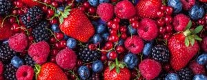 Tout savoir sur les fruits rouges